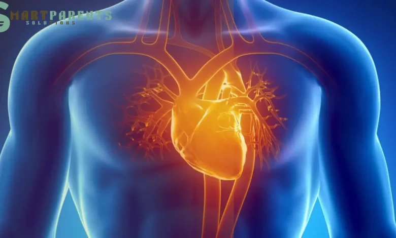 5 known circulatory system disorders| Diagnosis and treatment